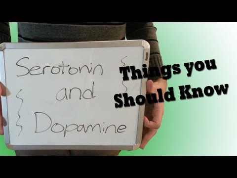 Serotonin, Dopamine and your Brain