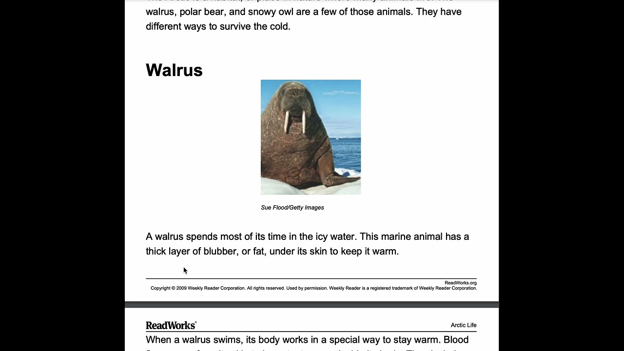Arctic Life Readworks Article