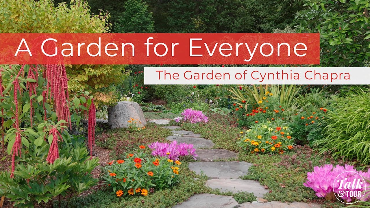 👉Talk & Tour: How to Build a Garden From Scratch with Cynthia Chapra #gardentour #budgetgardening