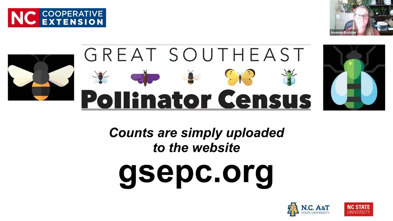 GSEPC: Get to Know the Insects: Great SE Pollinator Census Insect ID Webinar | July 2025
