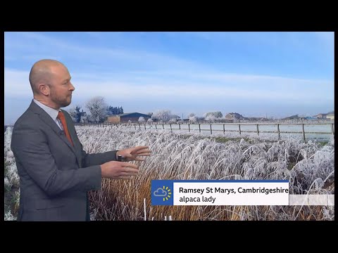 Weather images of the day - foggy and frosty (UK) - BBC&ITV - 22/01/2023 (b)
