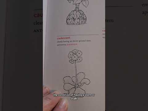 Botany word of the day. A little Latin lesson. #botany #foraging #vocabularybuilding