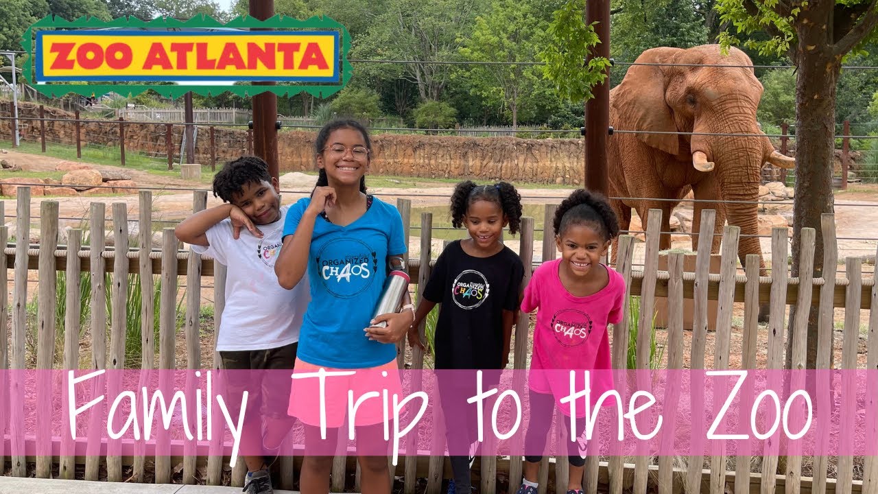 Family Zoo Trip | Zoo Atlanta Visit | UOC Vlogmas Day11