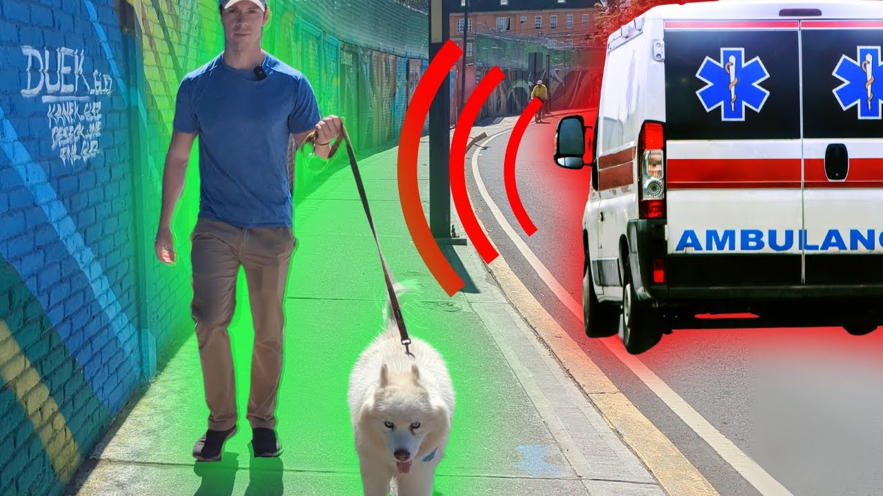 Remove Background Noise - Descript Tutorial (Studio Sound)