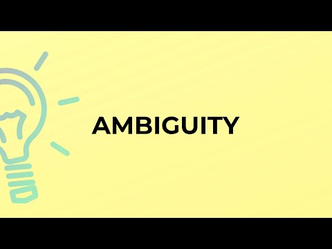 What is the meaning of the word AMBIGUITY?