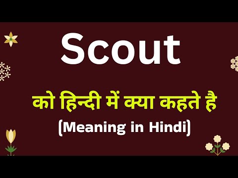 Scout meaning in hindi || scout ka matlab kya hota hai || word meaning english to hindi