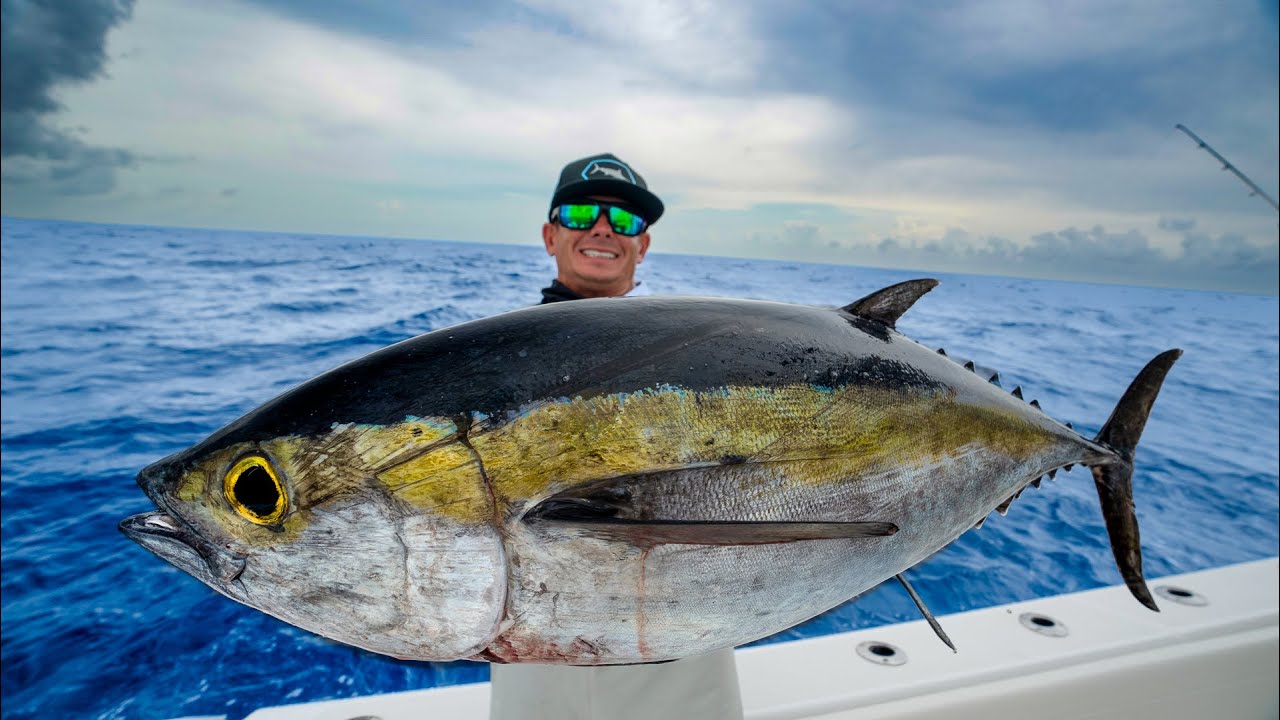 GIANT Blackfin tuna in ROUGH seas... Catch Clean Cook!