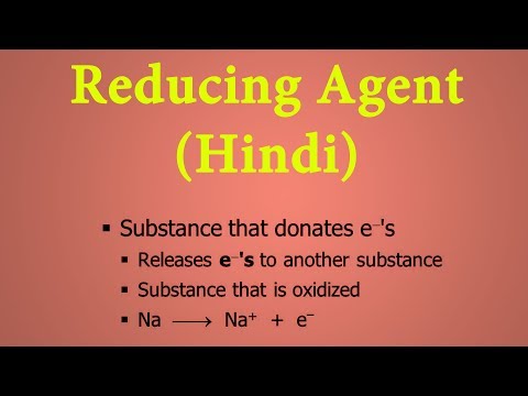 Reducing Agent 13 (Hindi)