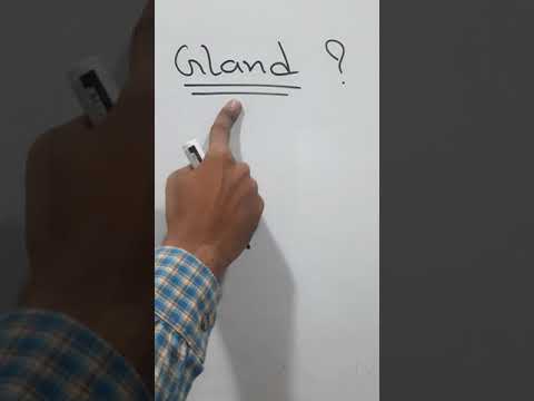 #shorts #gland | What is gland