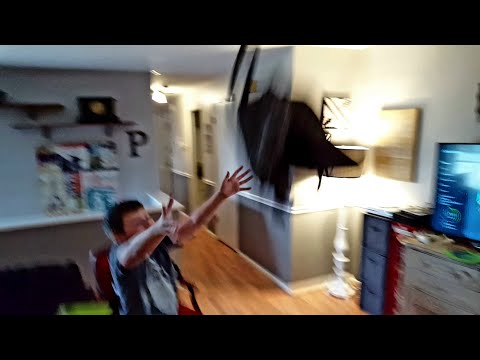 Kid Temper Tantrum Has A Go Back To School Freak Out! 🤣😱
