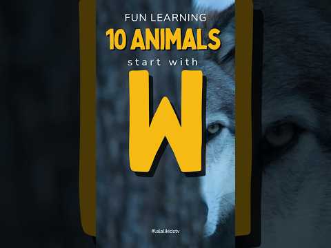 10 Wonderful Animals Starting with 'W'! #animalfacts #shortsanimalsvideos