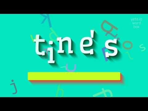 How to say "tine's"! (High Quality Voices)