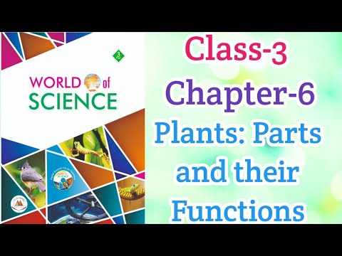 Grade-3 l Science l Plants: Parts and their Functions l Fill in the Blanks l