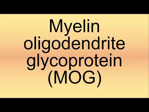 Myelin Oligodendrite Glycoprotein (MOG) Pronunciation | How to Say | How to Pronounce