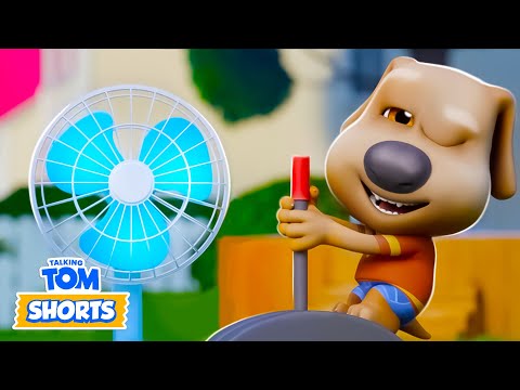 Kite Flying (GONE WRONG) 🪁😱 Talking Tom Shorts (S3 Episode 22)