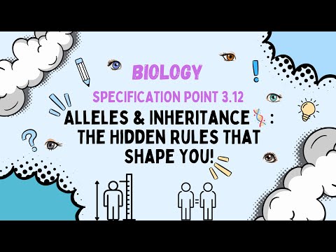 GCSE Biology – Understanding Alleles and Inherited Characteristics