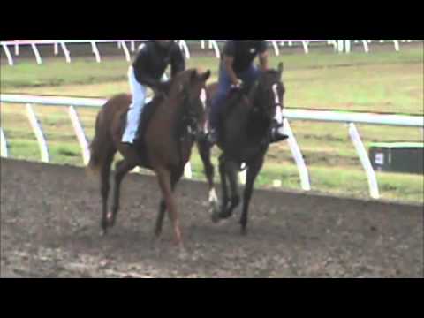 Sallyport and True Blue Nation in Ocala February 2013