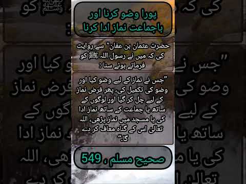 Sahih Muslim Hadees Muhammad ﷺ😇🤲🙏 #shorts #short #shortsfeed #shortfeed #youtubeshorts #shortvideo