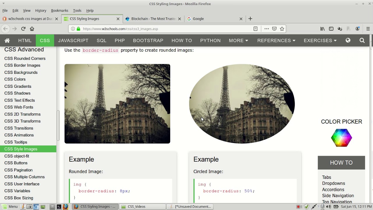 4 webdev css reference