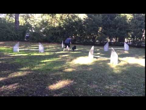 Jand J Score Lesson 1/ Drill 1
