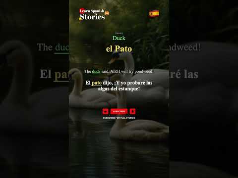 Learn 🇪🇸 Spanish with a story: Duck & Swan talking about the best aquatic plants for snacks