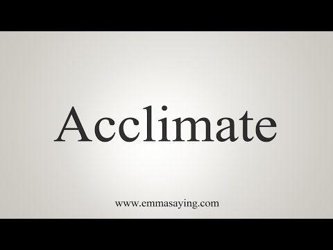 How To Say Acclimate
