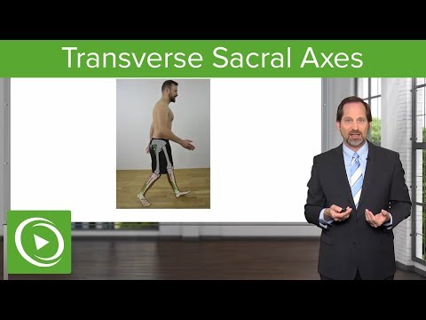 Transverse Sacral Axes – Osteopathic Manipulative Medicine (OMM) | Lecturio