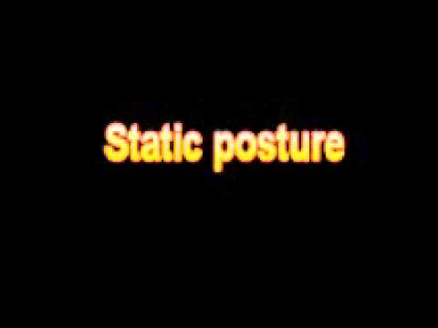 What Is The Definition Of Static posture Medical School Terminology Dictionary