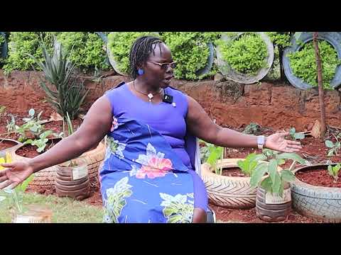 INTRODUCTION TO EDUCATION FOR SUSTAINABLE DEVELOPMENT - Dr.CHRISTINE OWINYI