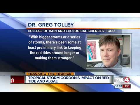 How will tropical Storm Gordon impact Southwest Florida's red tide, algae?