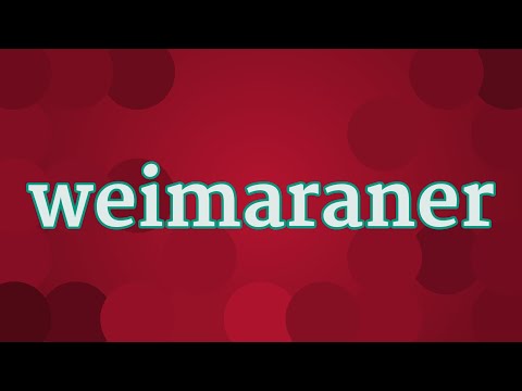 WEIMARANER pronunciation • How to pronounce WEIMARANER