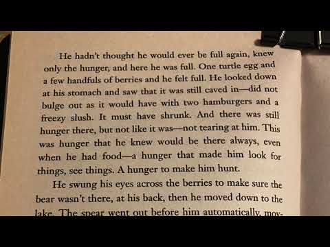 Hatchet Chapter 12