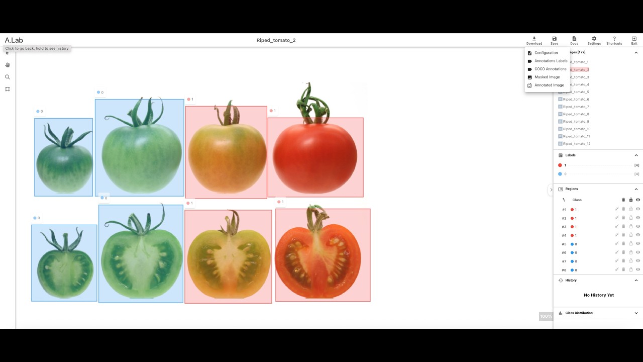 Annotate Images in COCO Format | Annotate-Lab Tutorial