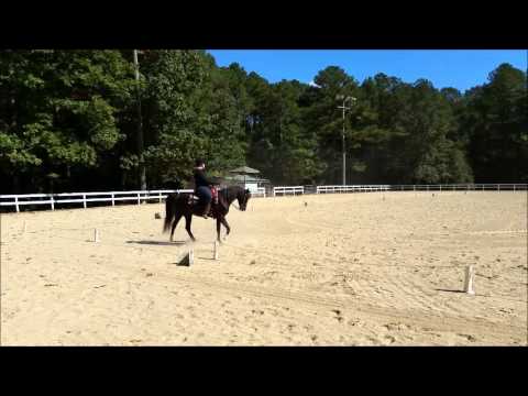 Hillary Stark and WKF Ebony Phoenix - USEF Western Dressaage Level 2 Test 2