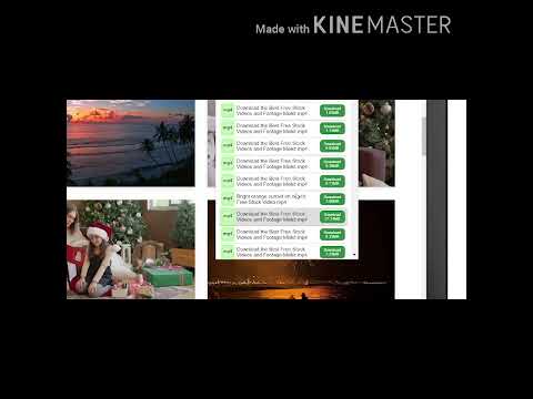 Video downloader professional