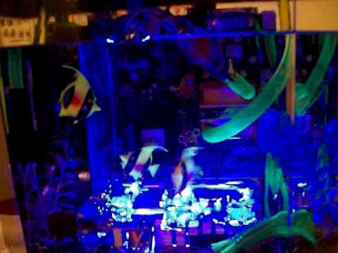 Mineral Oil Computer / Submerged Computer / fishtank computer - By LeatherFace