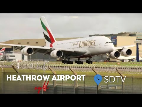 Wednesdays - Heathrow Airport Live - 16th July 2025