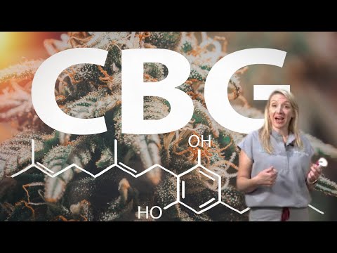 What is CBG?