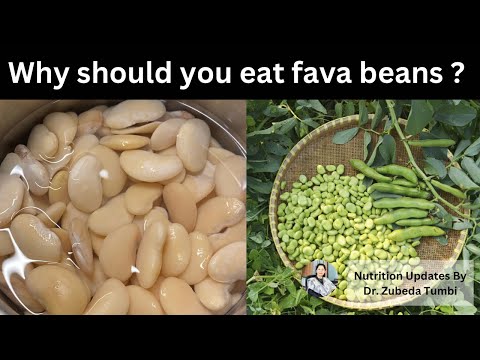 Why should you eat fava beans ?| Health benefit of fava bean |Nutrition Updates Dr Zubeda Tumbi
