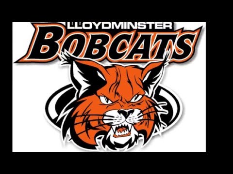 A Look-Back At Bobcats History