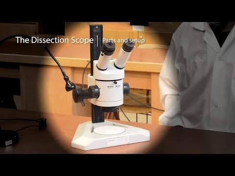 Dissecting Microscope Parts and Setup