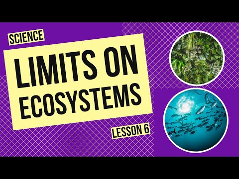 How Biotic and Abiotic Factors Shape Ecosystems and Set Limits