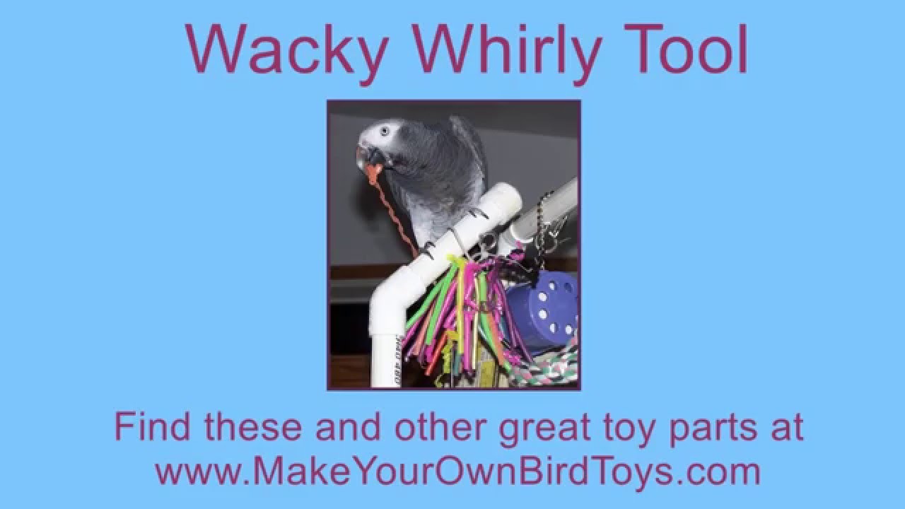 Make Your Own Bird Toys Wacky Whirly Tool