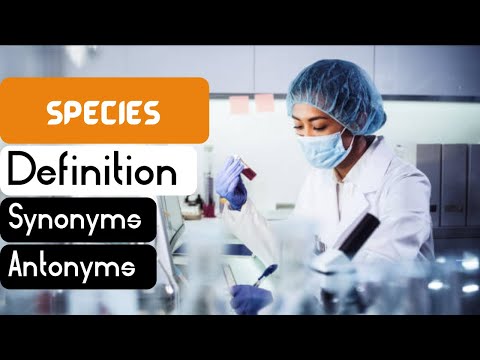 Species Pronunciation | Species Definition | Species Synonyms | Species Antonyms