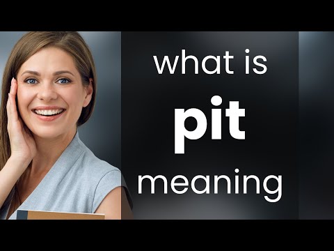 Pit • what is PIT meaning