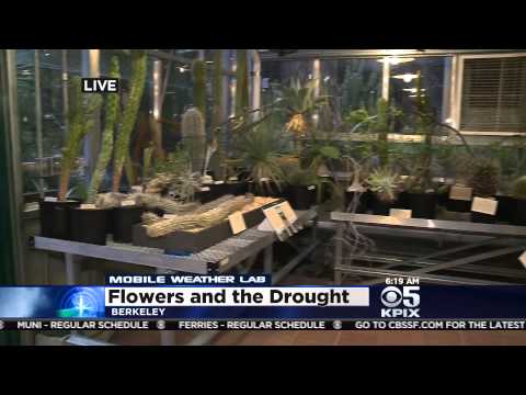 Mobile Weather Lab-UC Botanical Gardens