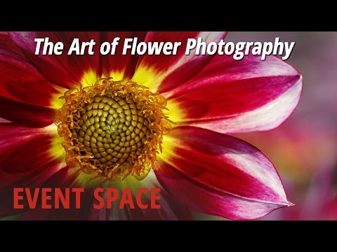 The Art of Flower Photography