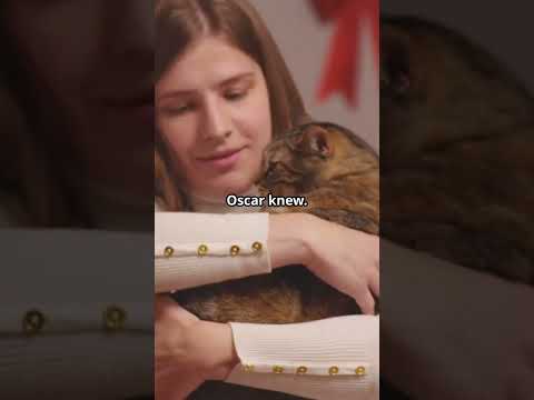 Oscar The Cat Offers PROFOUND Peace To Patients Near Death