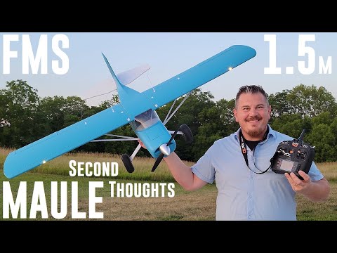FMS - Maule - 1500mm - Second Thoughts