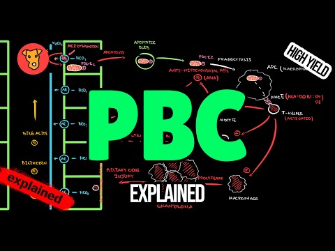 Primary Biliary Cholangitis EXPLAINED: Pathogenesis, Symptoms, Diagnosis & Treatment (High-Yield)